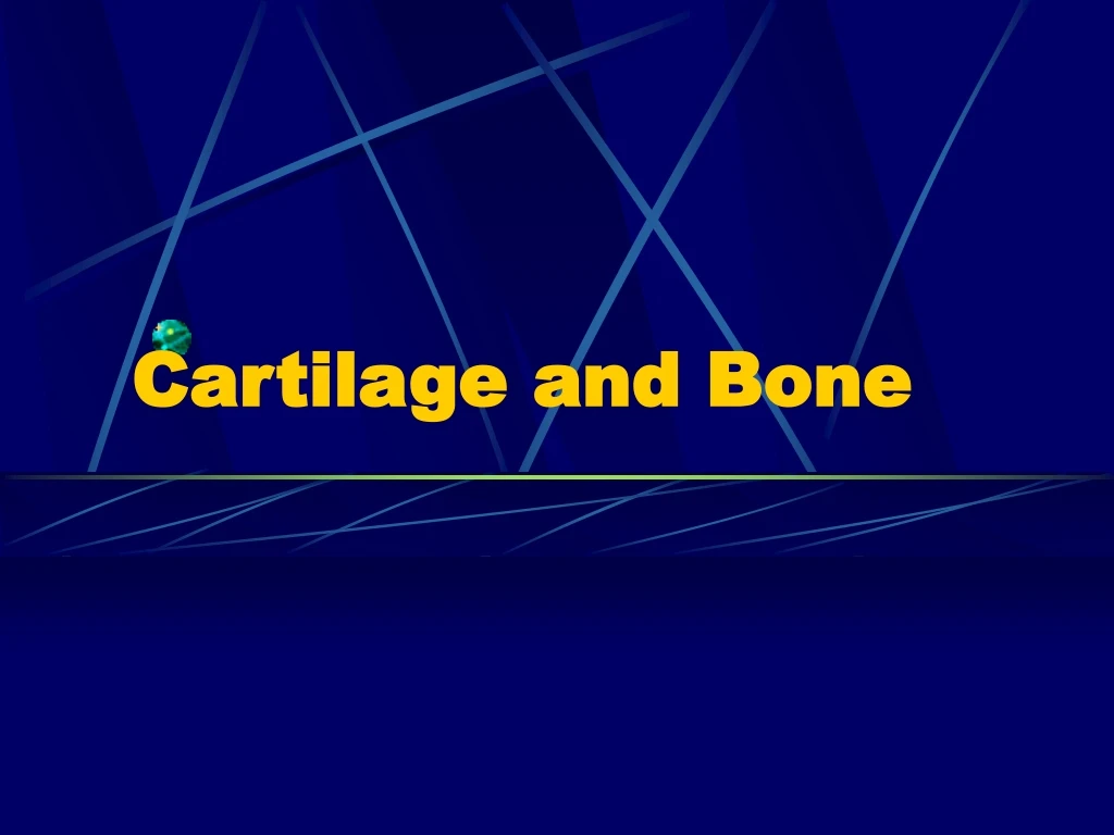 PPT - Cartilage and Bone PowerPoint Presentation, free download - ID:8165357