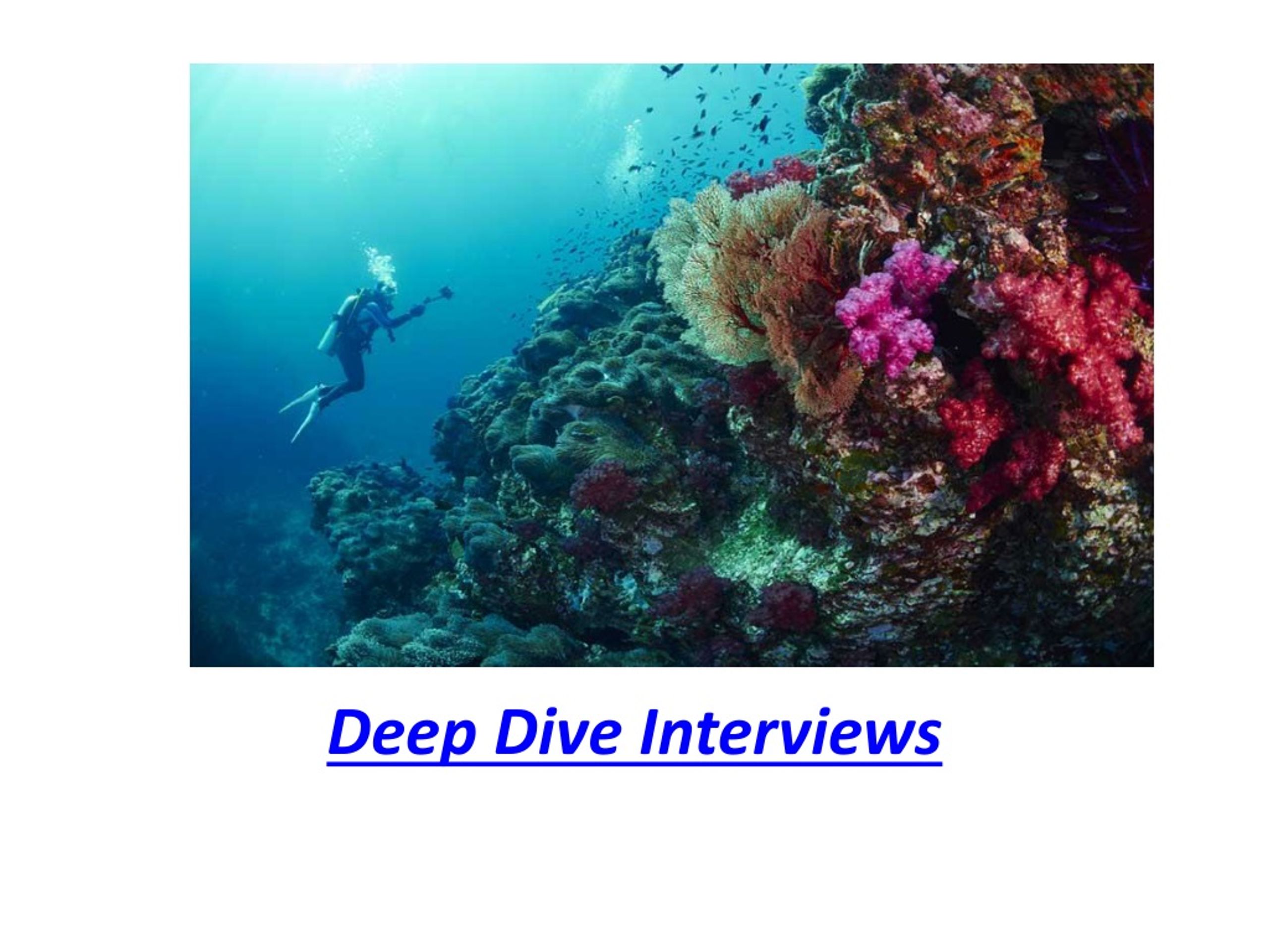 PPT - shrinkrapradio PowerPoint Presentation, free download - ID:8185426