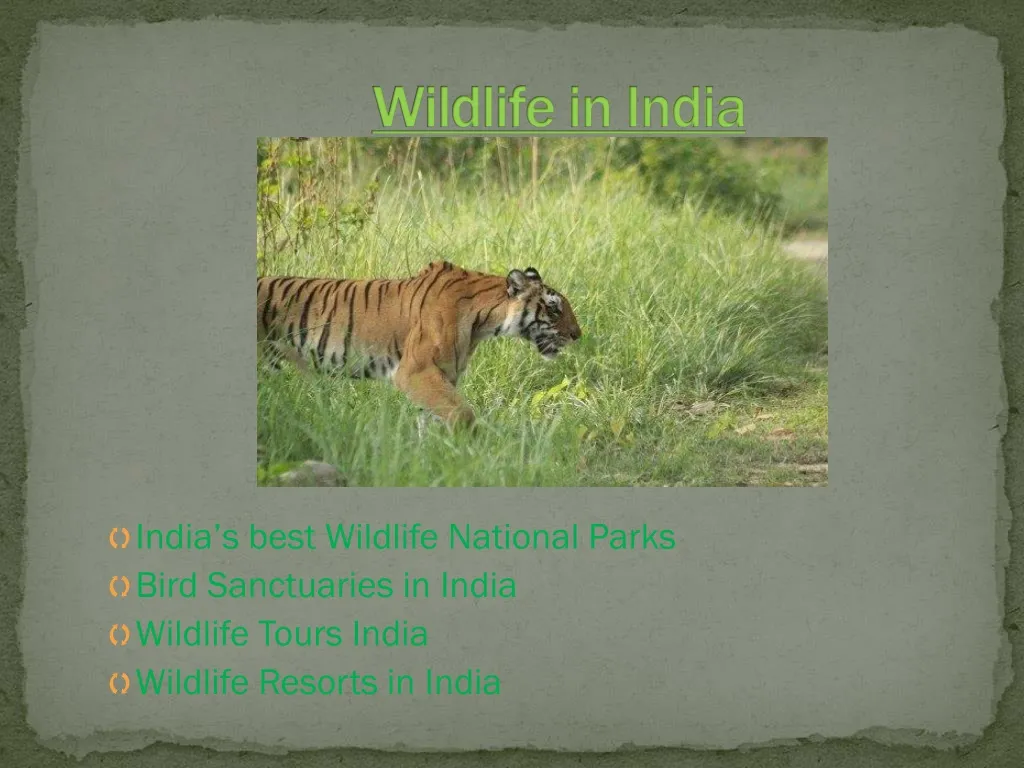 PPT - Get a Glimpse of Wildlife Sanctuaries in India PowerPoint ...
