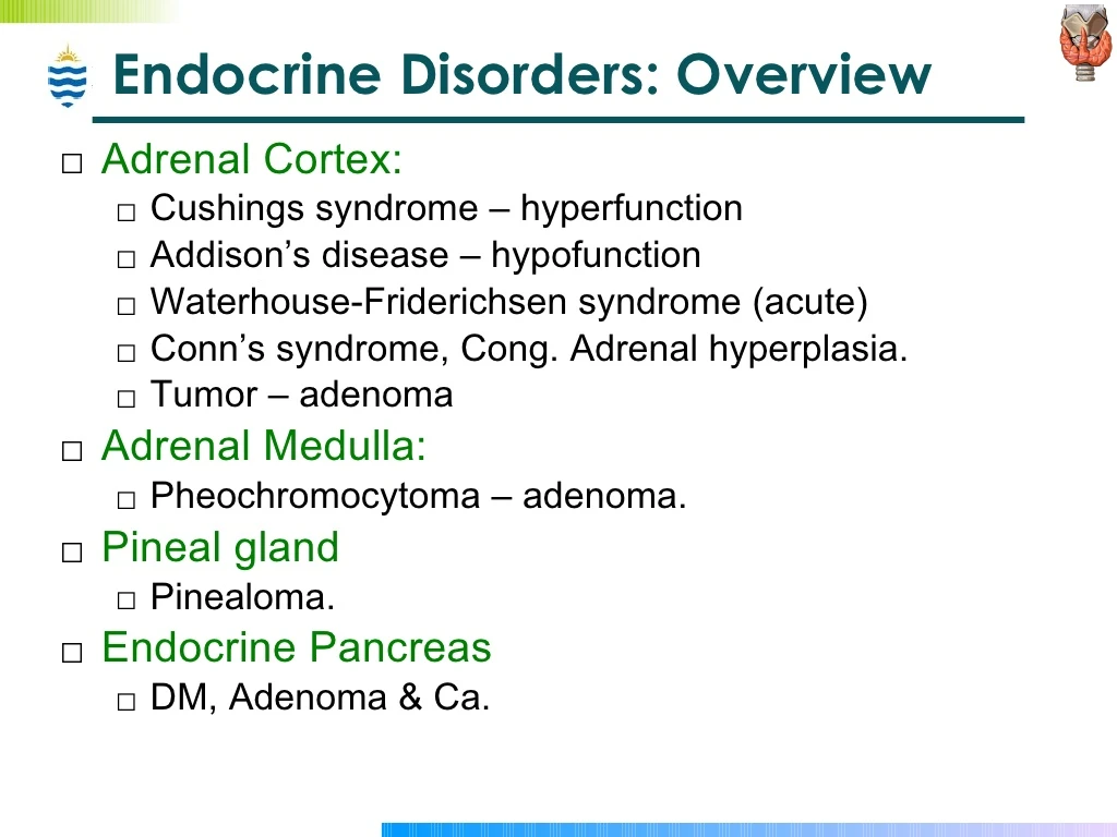 PPT - Pathology of Endocrine Disorders PowerPoint Presentation - ID:8201840