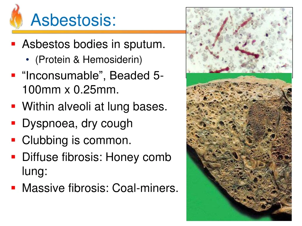 PPT - Pathology of COPD PowerPoint Presentation - ID:8201945