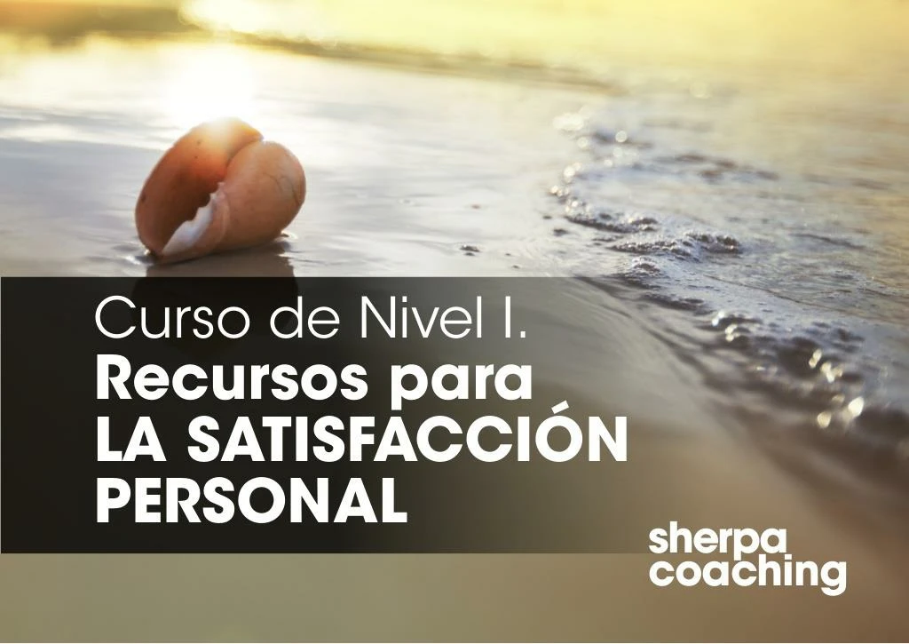 PPT - Recursos para la SATISFACCIÓN PERSONAL - Nivel 1. Toma conciencia ...