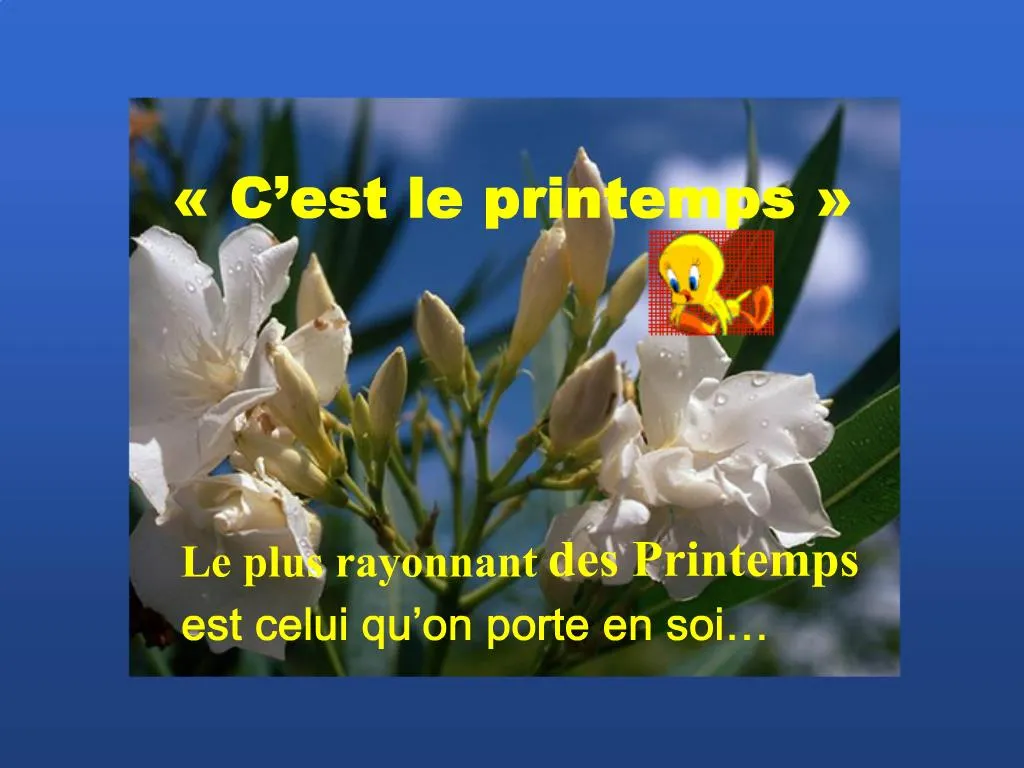 PPT - C est le printemps PowerPoint Presentation, free download - ID:827874
