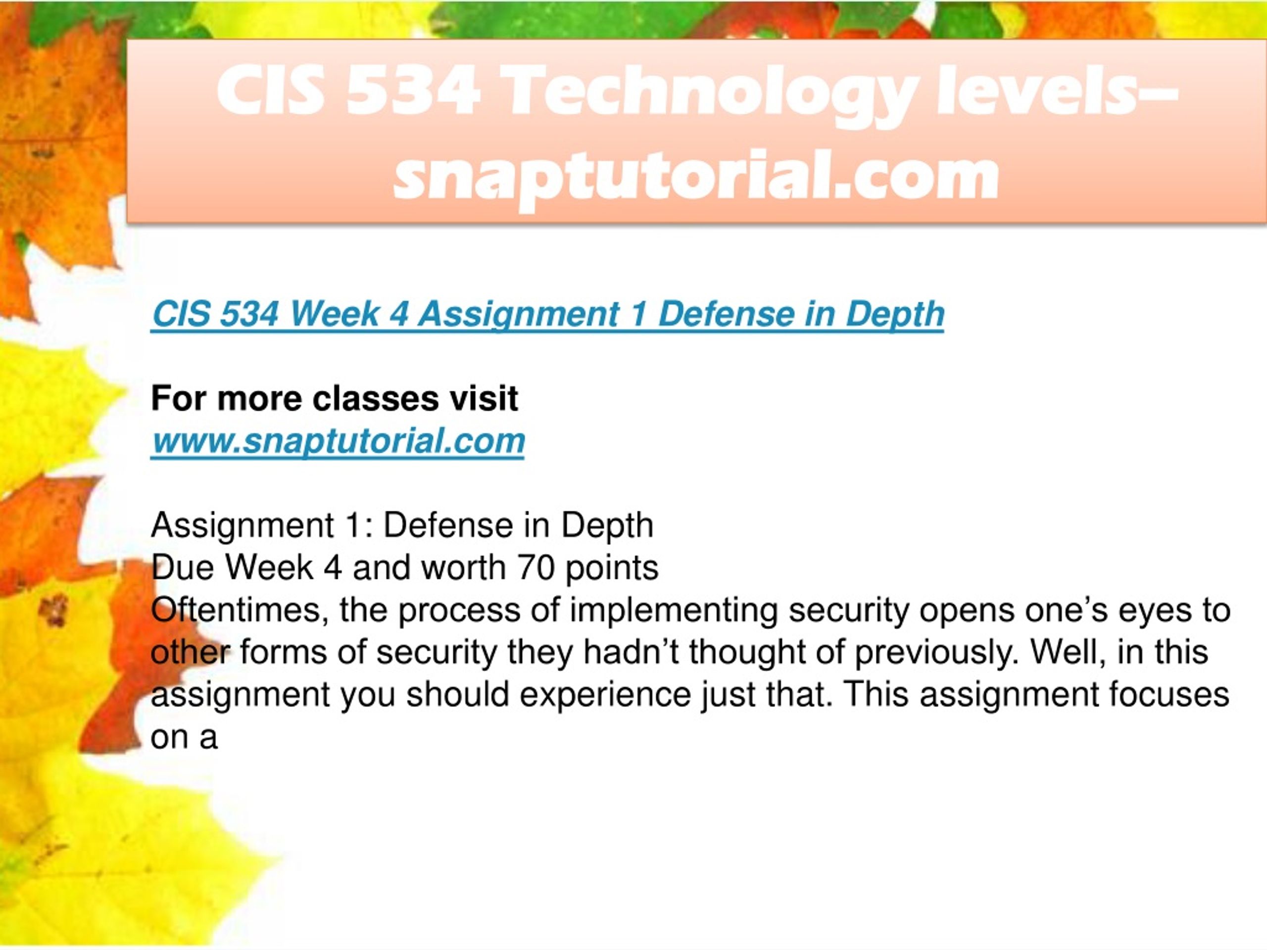 PPT - CIS 534 Technology levels--snaptutorial.com PowerPoint Presentation - ID:8287152