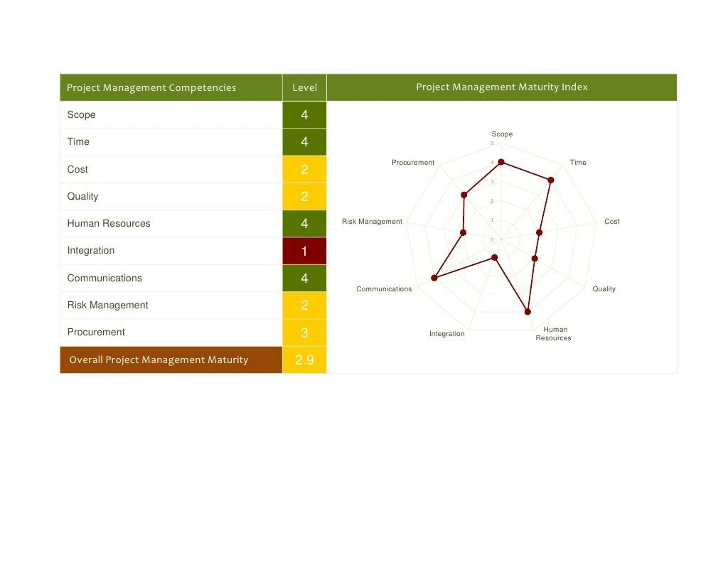 PPT - Project Management Maturity Assessment PowerPoint Presentation ...