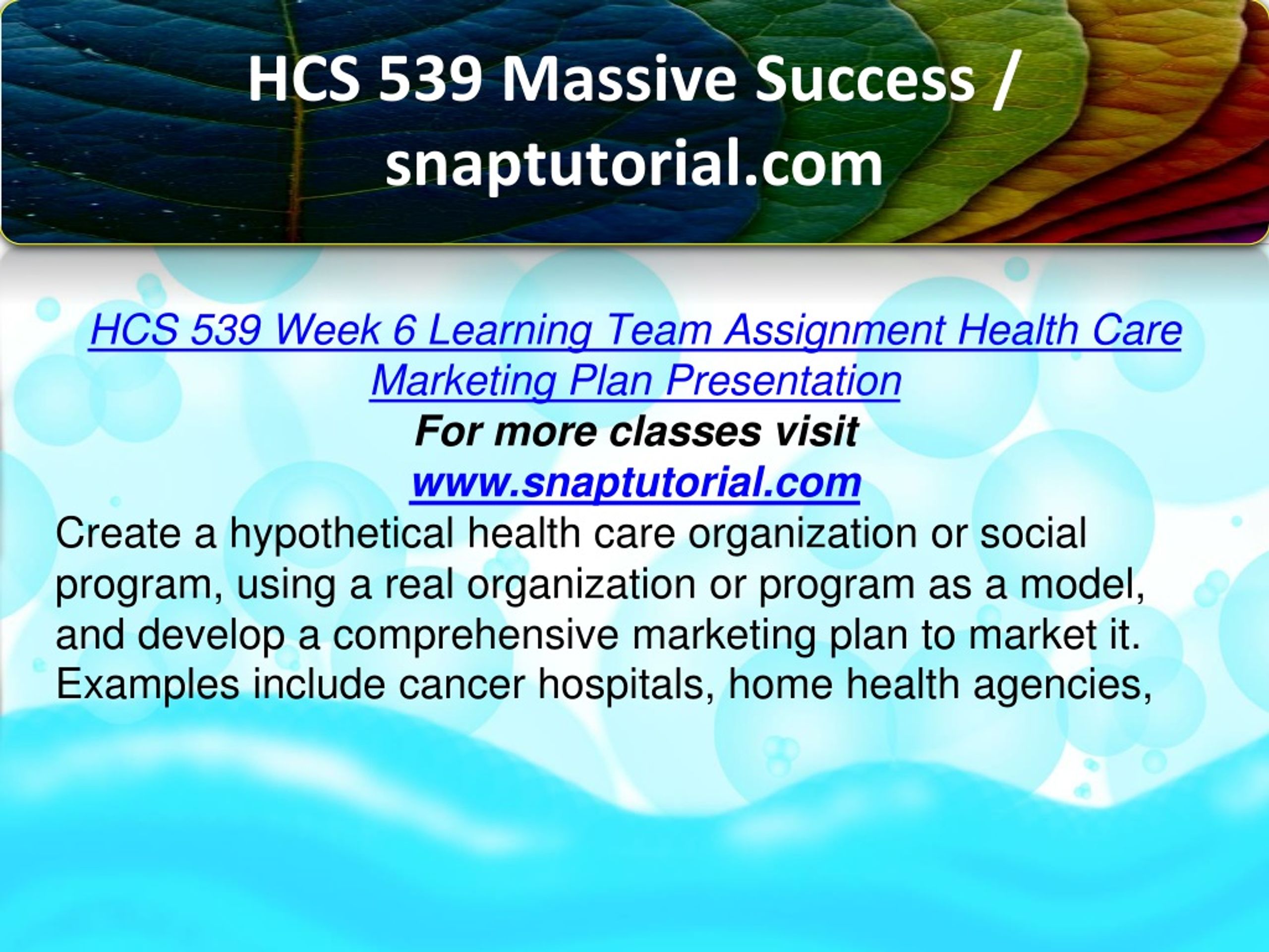 PPT - HCS 539 Massive Success / snaptutorial.com PowerPoint Presentation - ID:8307958