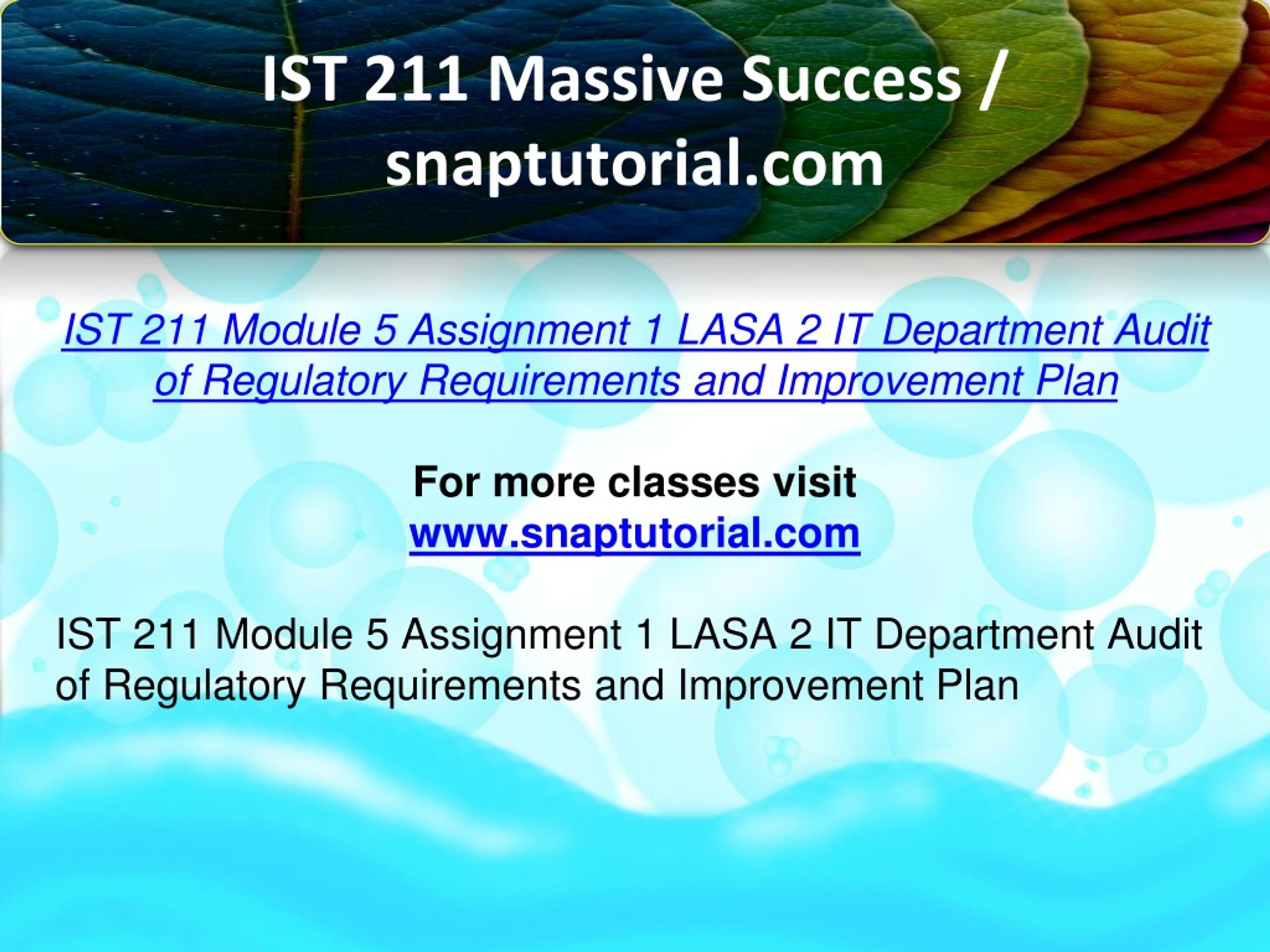 PPT - IST 211 Massive Success / snaptutorial.com PowerPoint Presentation - ID:8318439