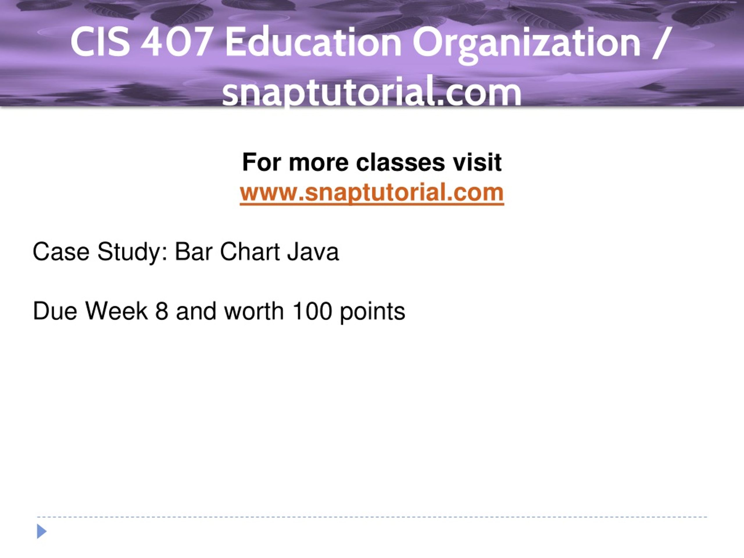 PPT - CIS 407 Education Organization / snaptutorial.com PowerPoint ...