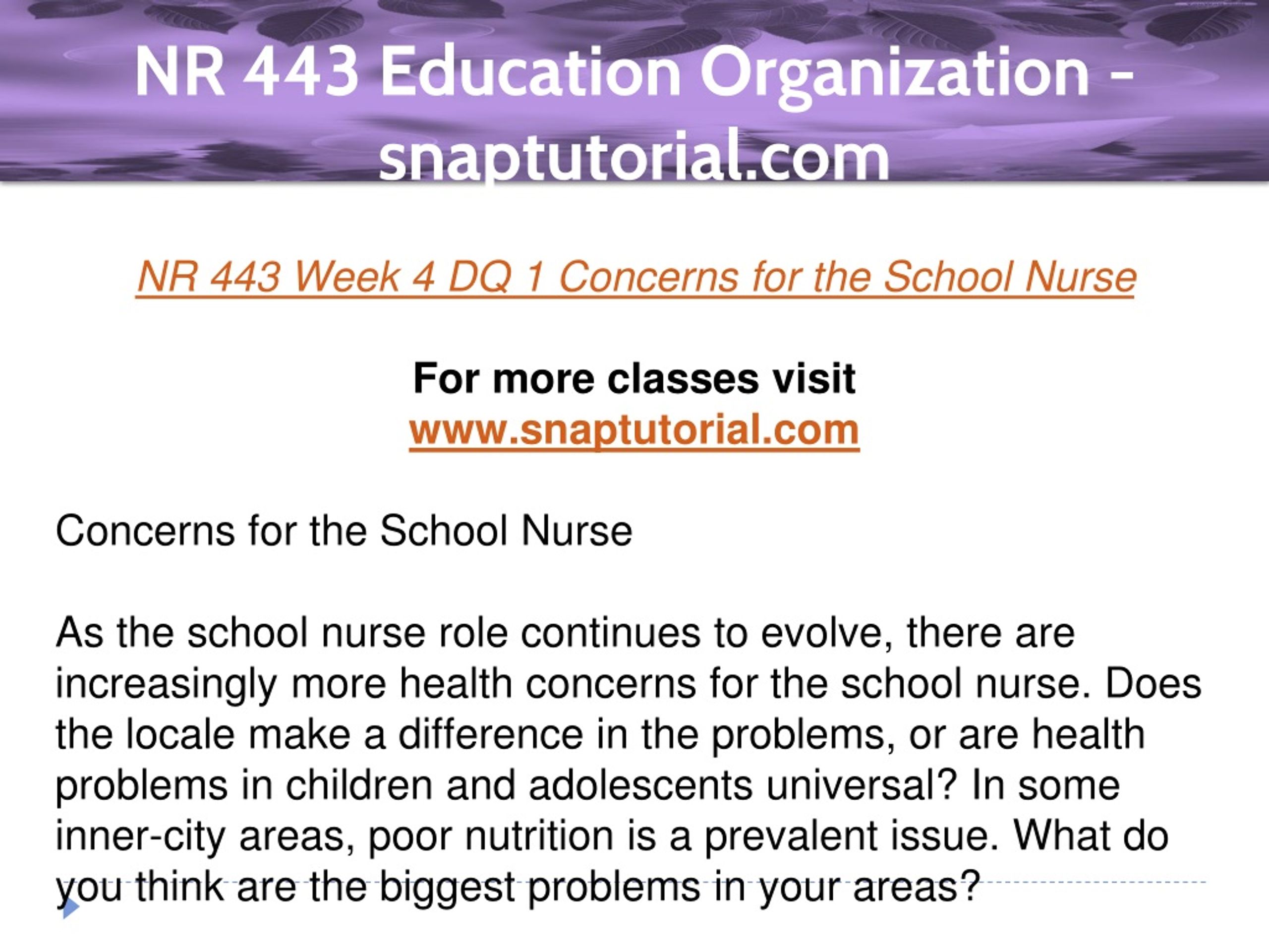 PPT - NR 443 Education Organization-snaptutorial.com PowerPoint Presentation - ID:8447451