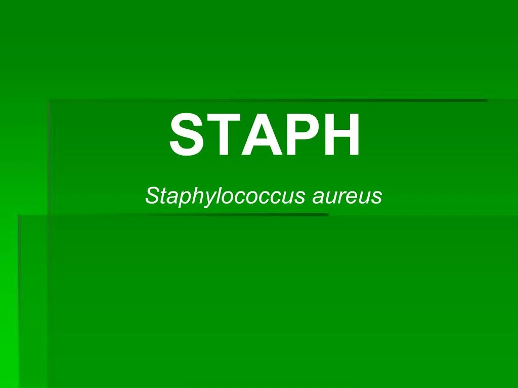 PPT - STAPH Staphylococcus aureus PowerPoint Presentation, free ...