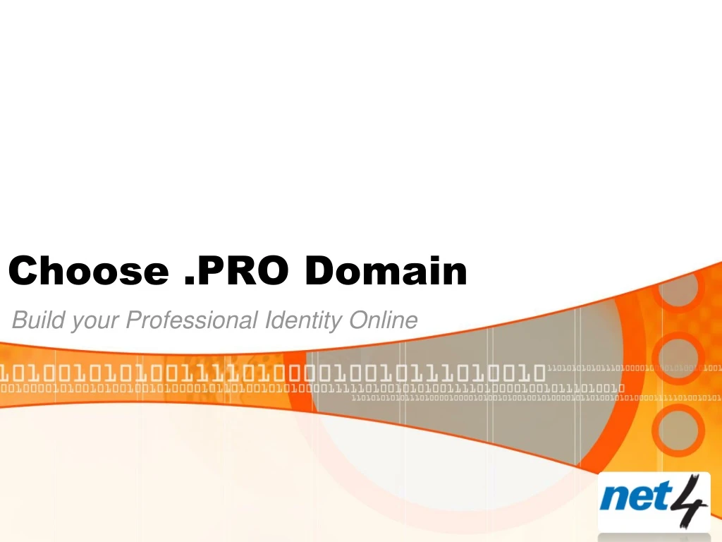 PPT - Choose .PRO Domain: Build your Professional Identity Online ...