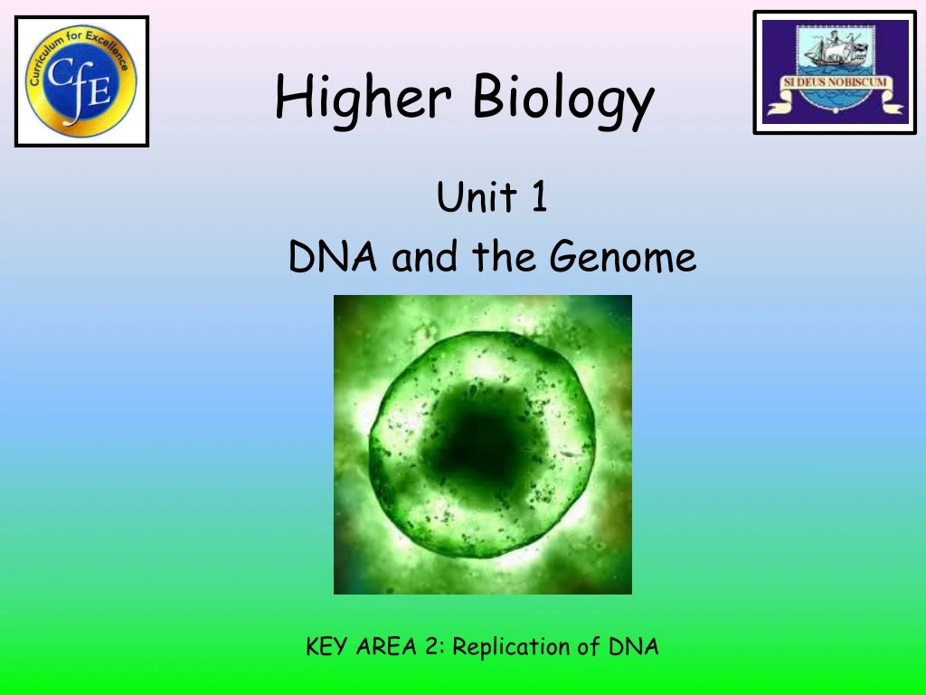 PPT - Higher Biology PowerPoint Presentation, free download - ID:8515641