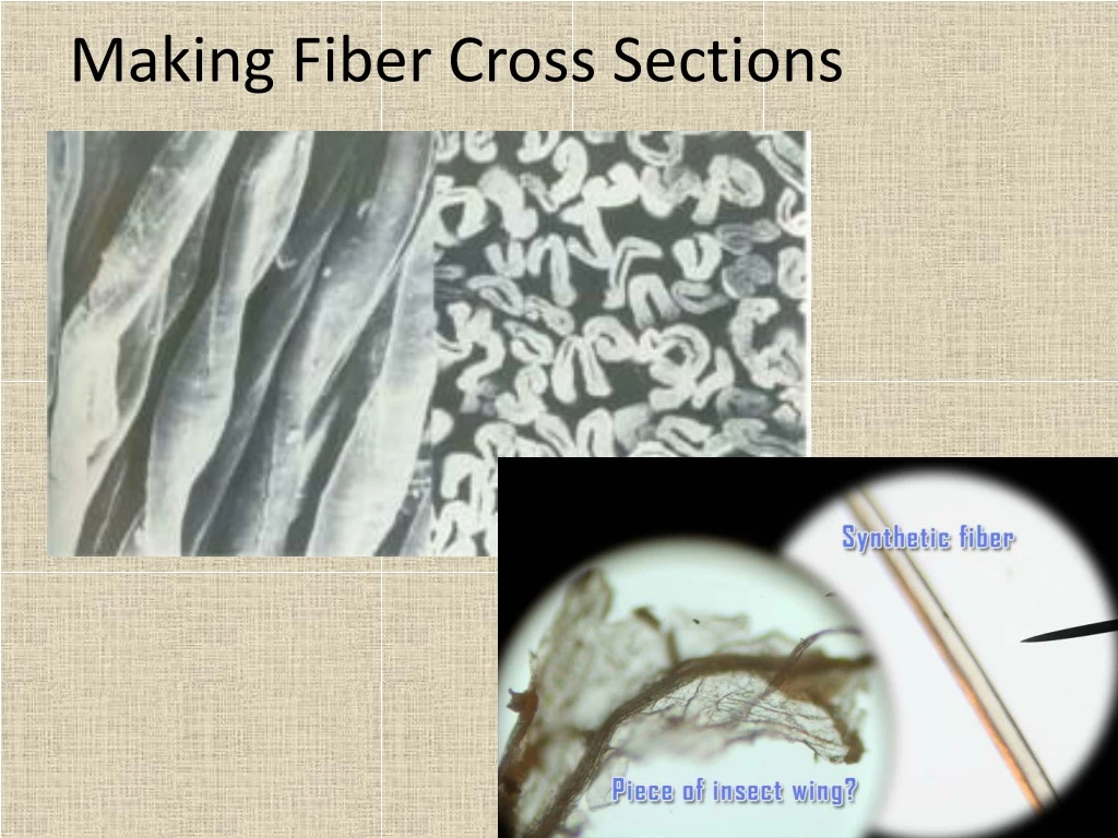 PPT - Making Fiber Cross Sections PowerPoint Presentation, free ...