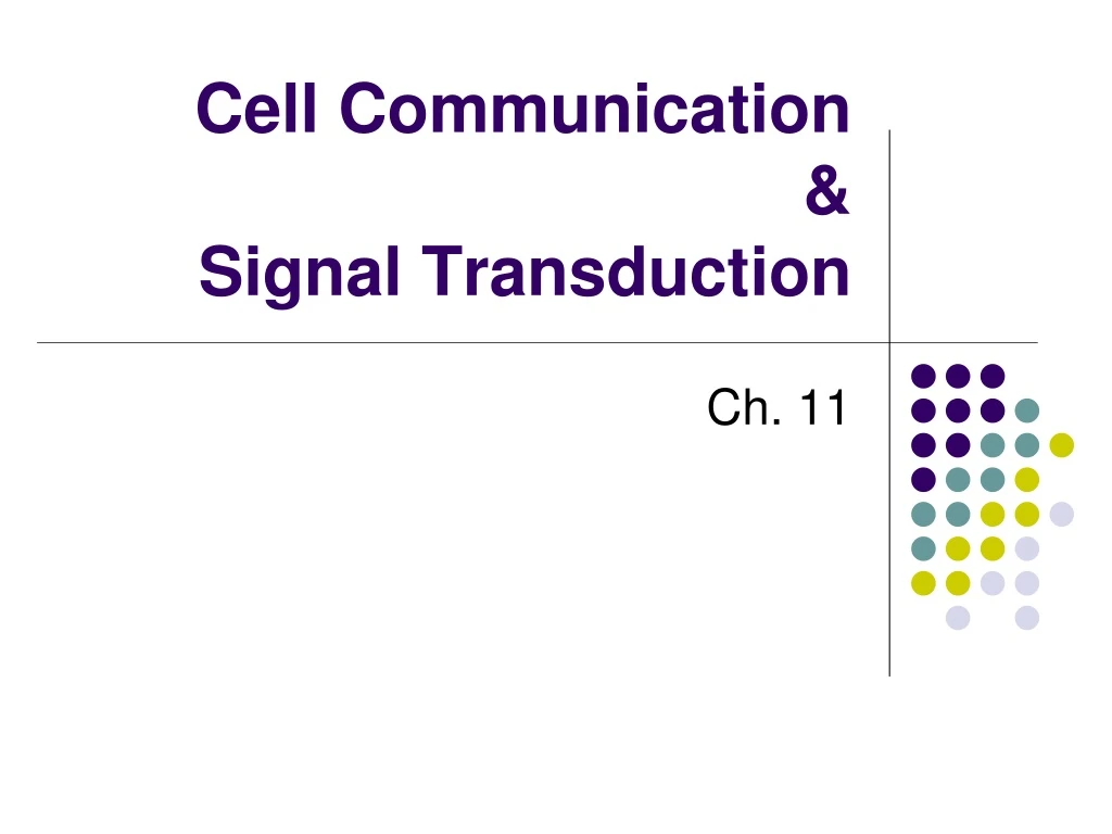 PPT - Cell Communication & Signal Transduction PowerPoint Presentation ...