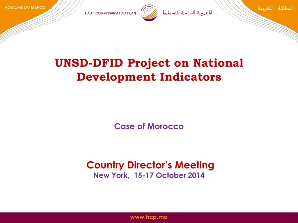 PPT - UNSD-DFID Project on National Development Indicators Case of ...