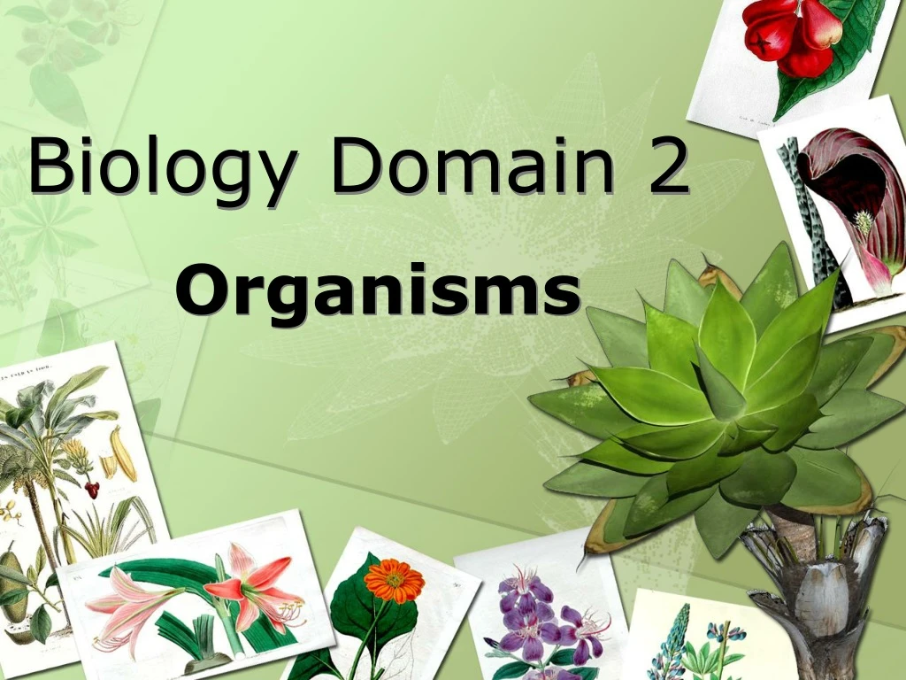 PPT - Biology Domain 2 PowerPoint Presentation, free download - ID:8579846