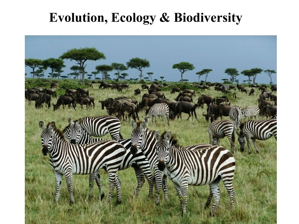 PPT - Evolution, Ecology & Biodiversity PowerPoint Presentation, free ...