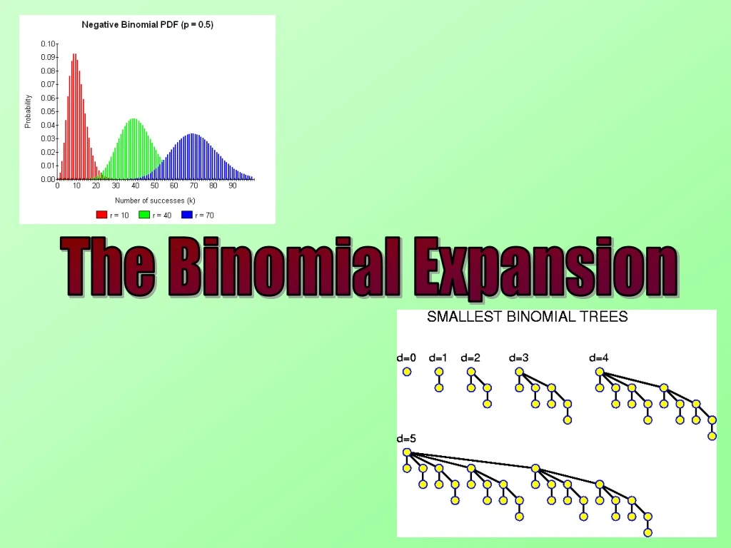 PPT - The Binomial Expansion PowerPoint Presentation, free download ...