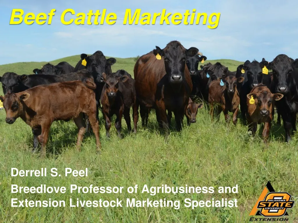 PPT - Beef Cattle Marketing PowerPoint Presentation, free download - ID ...