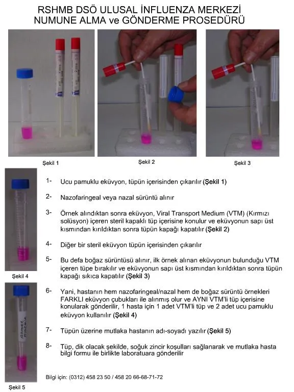 PPT - Sekil 1 PowerPoint Presentation, free download - ID:864144