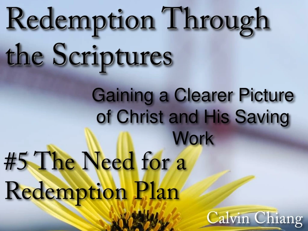 PPT - #5 The Need for a Redemption Plan PowerPoint Presentation, free ...