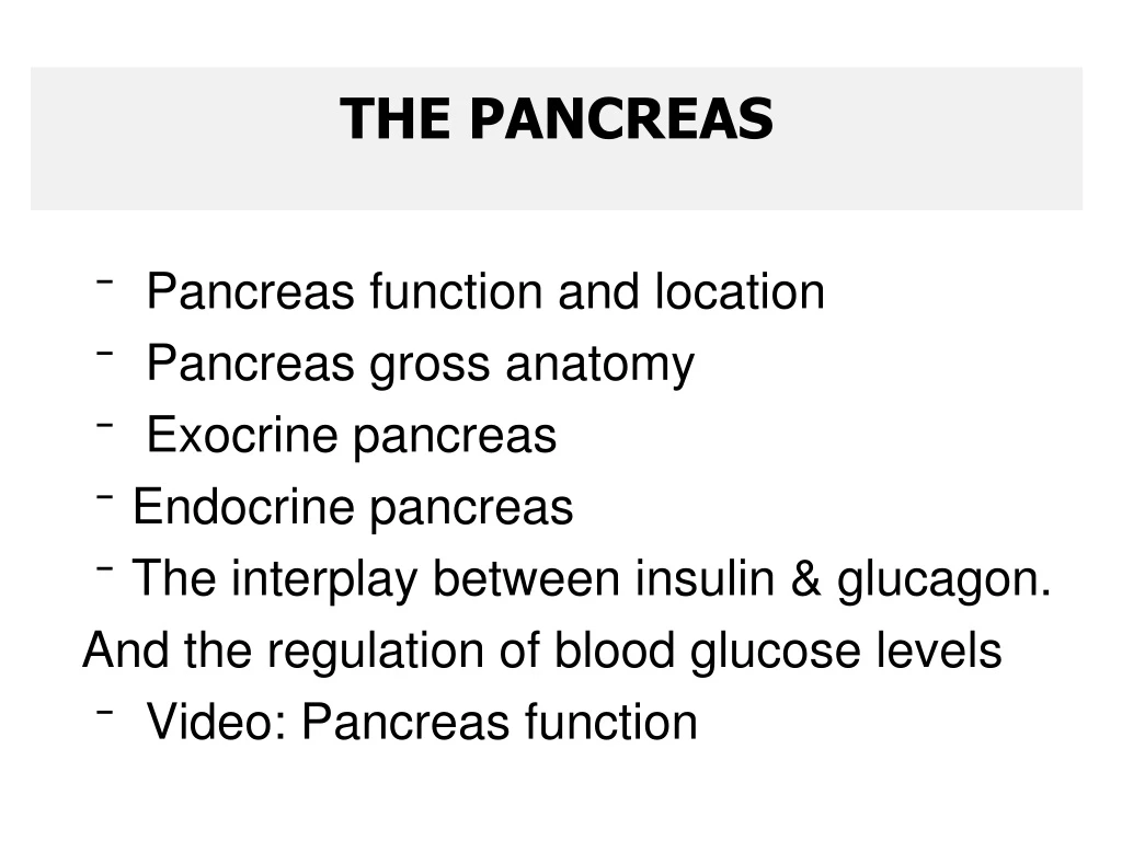PPT - THE PANCREAS PowerPoint Presentation, free download - ID:8674539