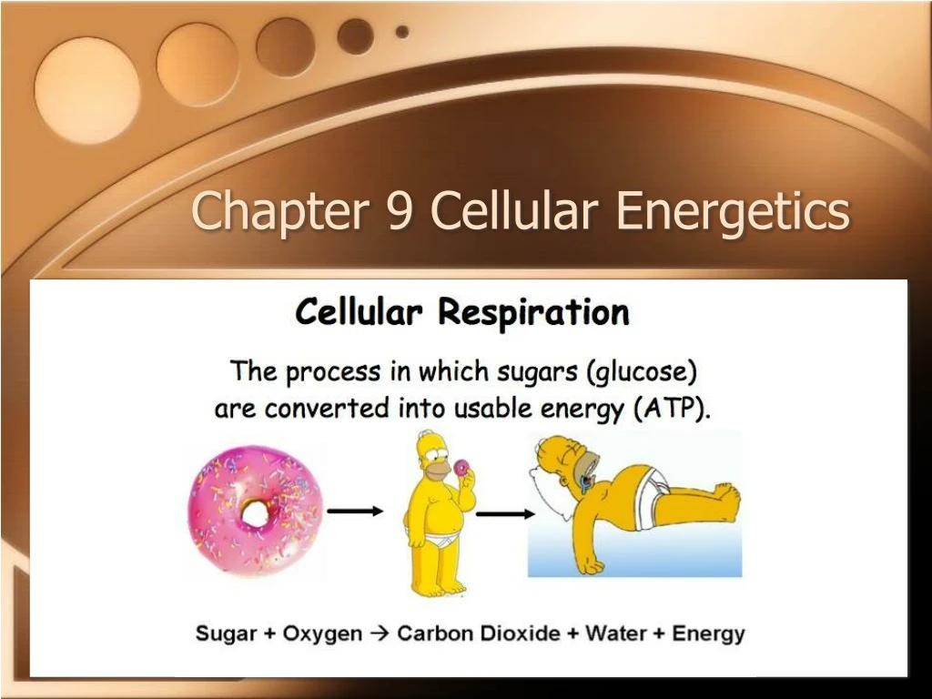 PPT - Chapter 9 Cellular Energetics PowerPoint Presentation, free ...