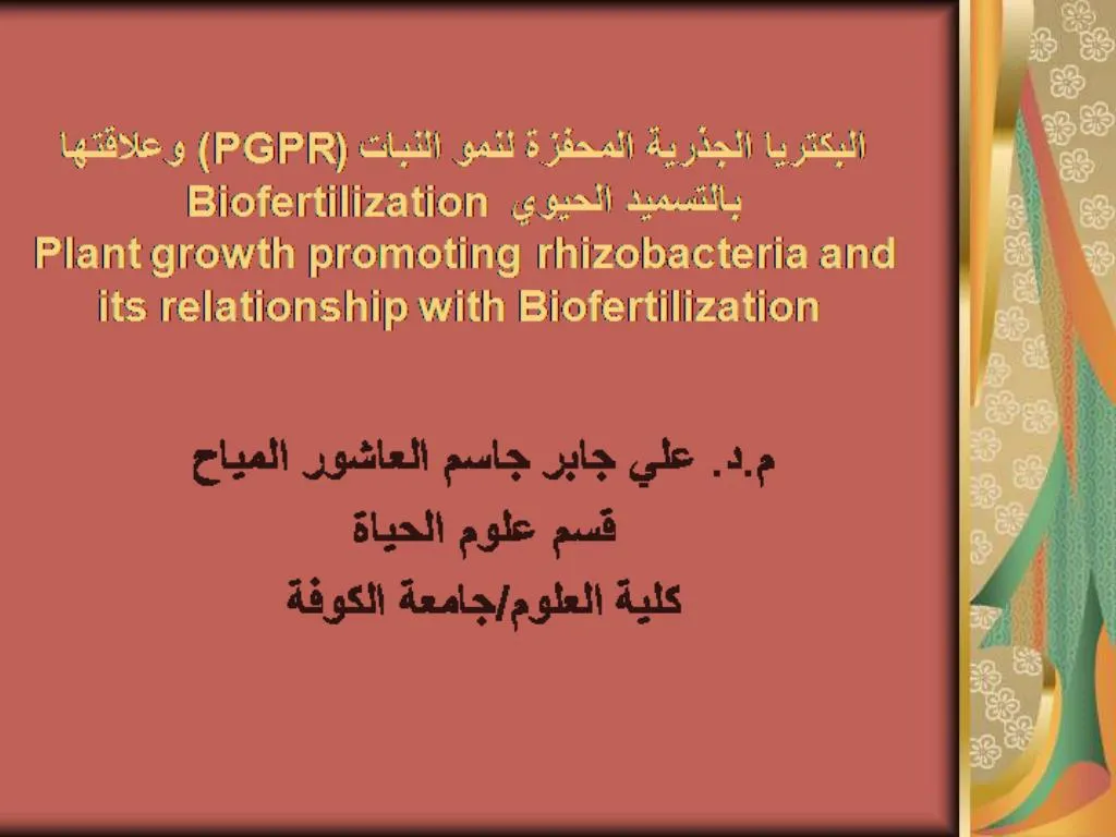 PPT - PGPR Biofertilization Plant growth promoting rhizobacteria and ...
