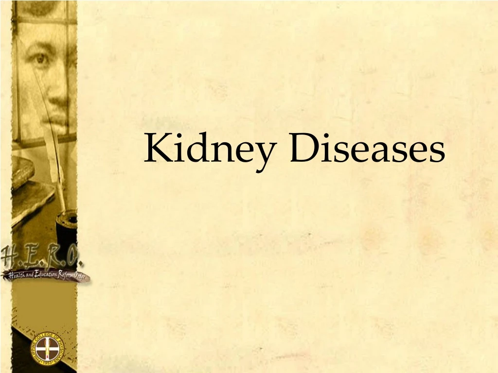 PPT - Kidney Diseases PowerPoint Presentation, free download - ID:8687469