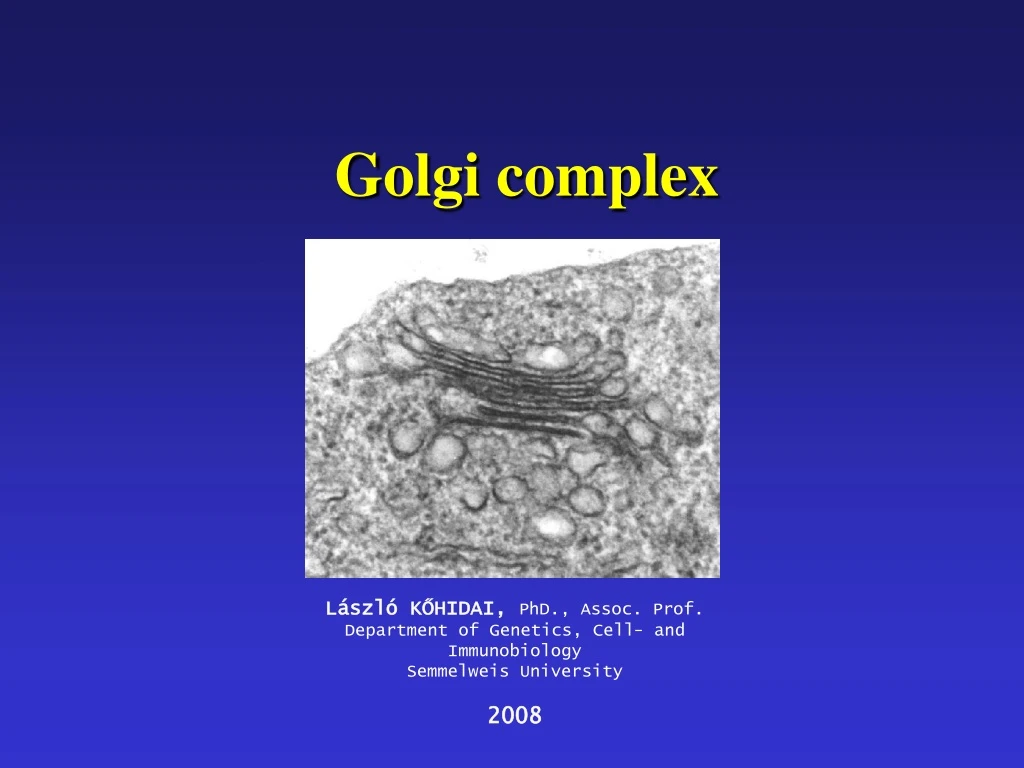 PPT - Golgi complex PowerPoint Presentation, free download - ID:8698548