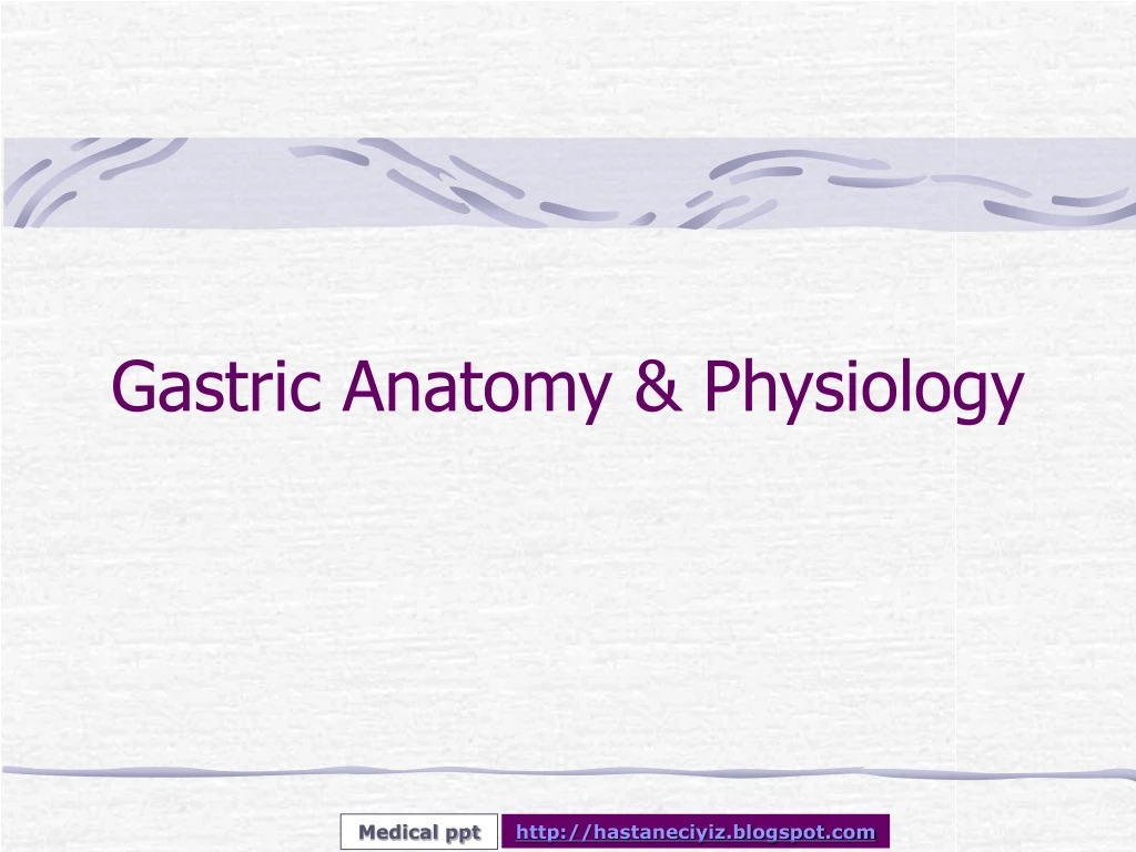 PPT - Gastric Anatomy & Physiology PowerPoint Presentation, free ...