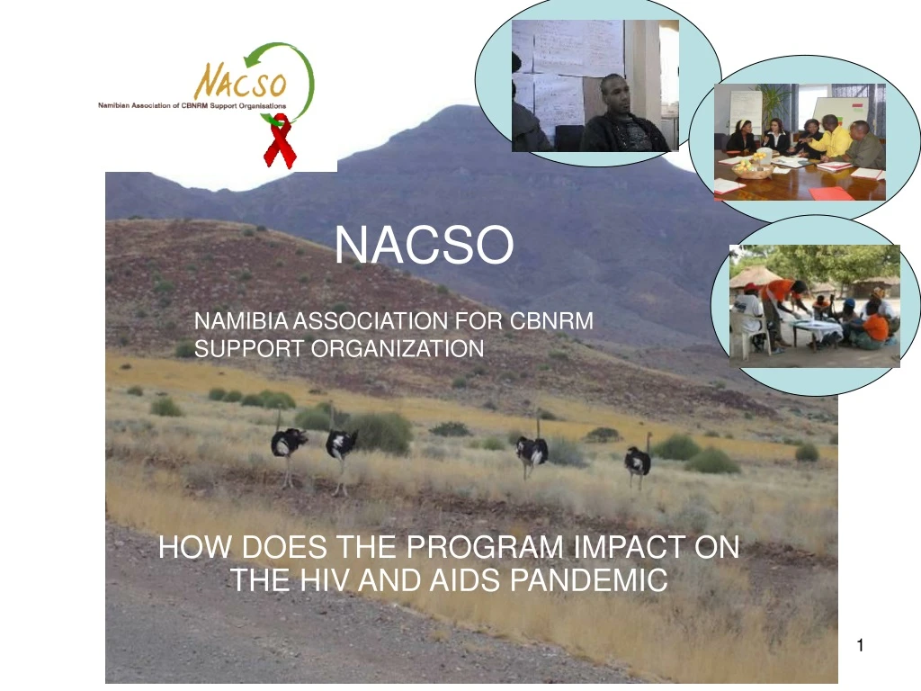 PPT - NACSO PowerPoint Presentation, free download - ID:8708984