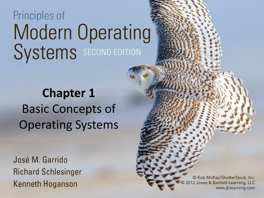 PPT - Chapter 1 Basic Concepts of Operating Systems PowerPoint ...