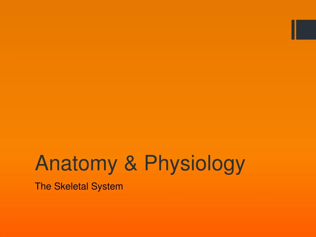 PPT - Anatomy & Physiology PowerPoint Presentation, free download - ID:8718547