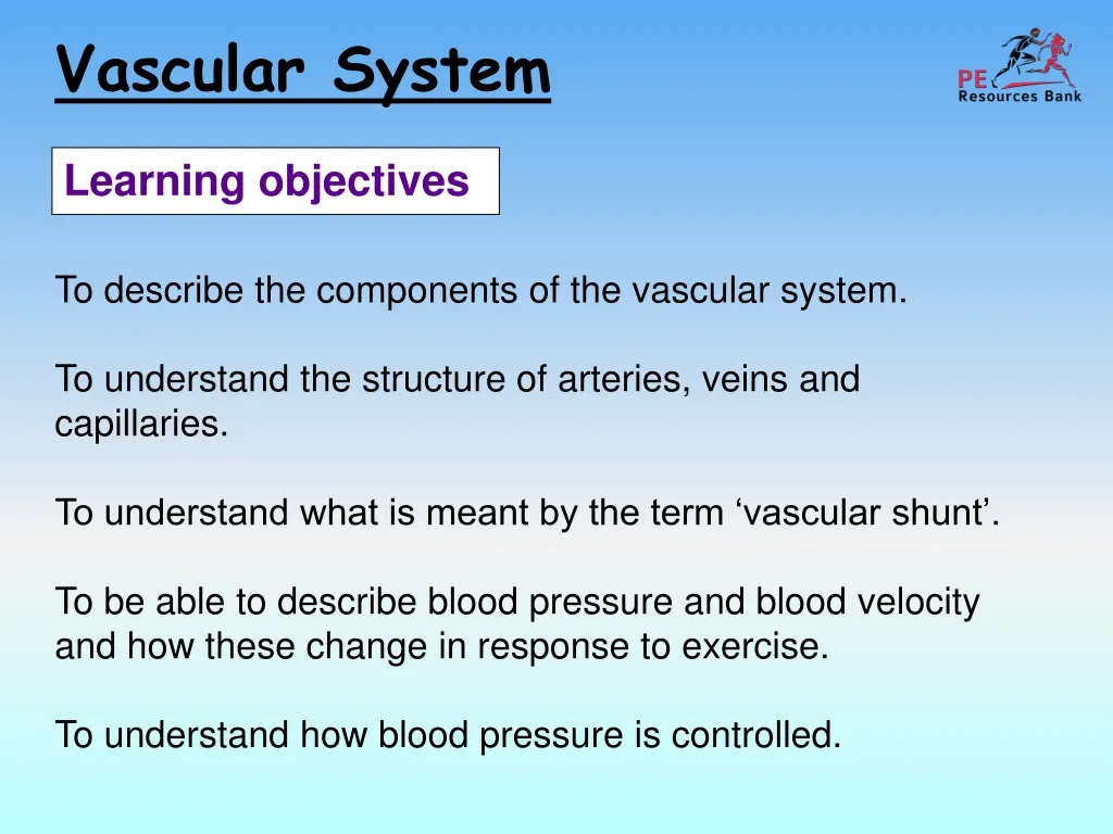 PPT - Vascular System PowerPoint Presentation, free download - ID:872887