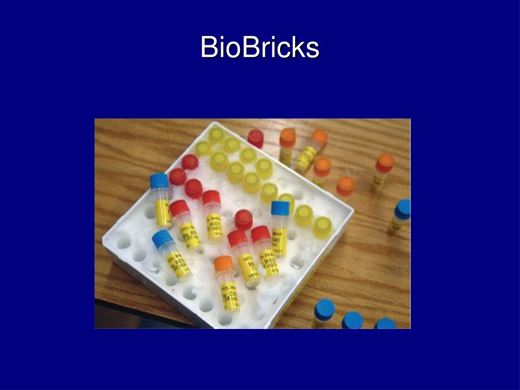 PPT - BioBricks PowerPoint Presentation, free download - ID:8734974