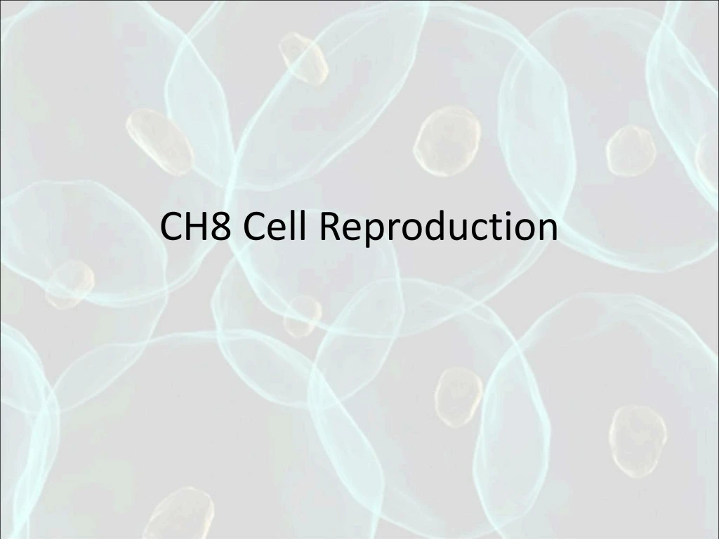 Ppt Ch8 Cell Reproduction Powerpoint Presentation Free Download Id