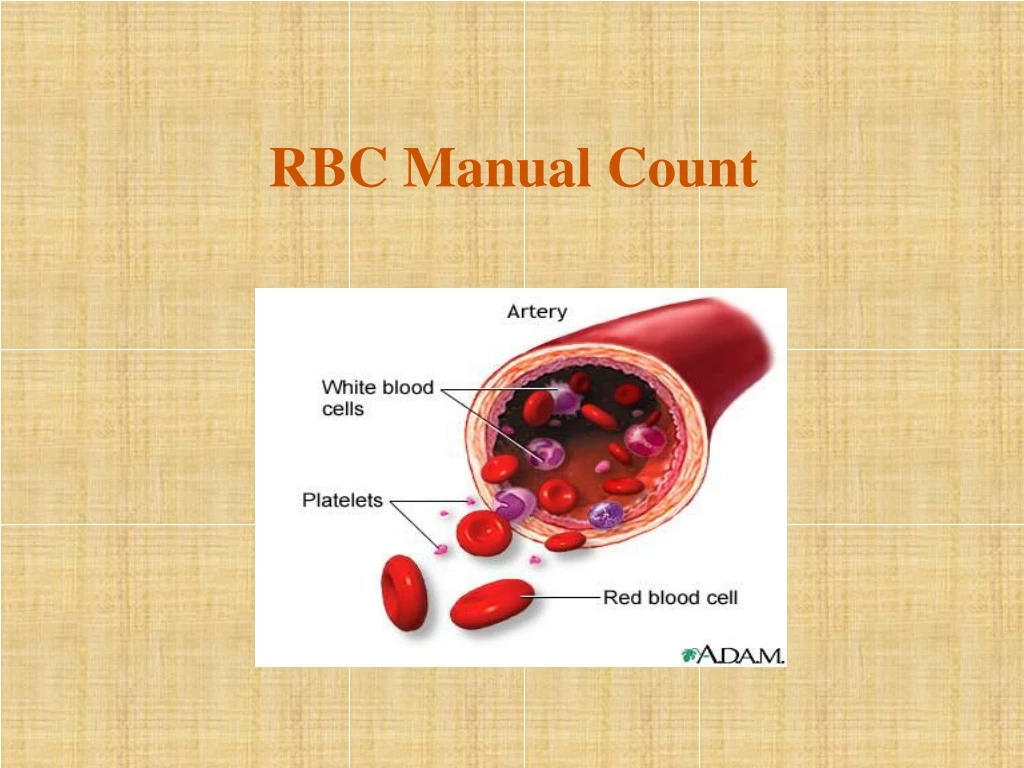 PPT - RBC Manual Count PowerPoint Presentation, free download - ID:8743293