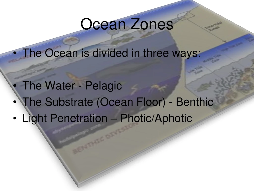 PPT - Ocean Zones PowerPoint Presentation, free download - ID:8749030