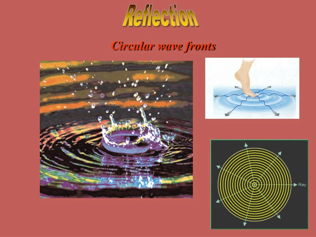 PPT - Circular wave fronts PowerPoint Presentation, free download - ID ...