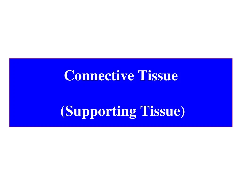 PPT - Connective Tissue (Supporting Tissue) PowerPoint Presentation ...