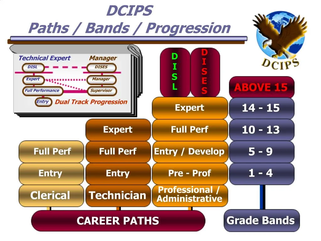 PPT - DCIPS Paths PowerPoint Presentation, free download - ID:876272
