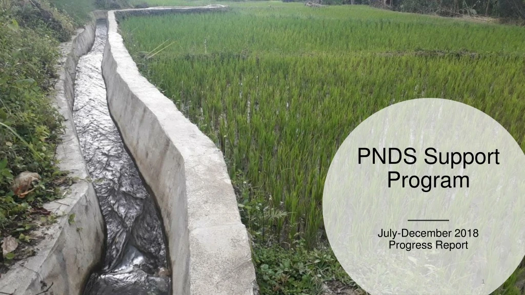 PPT - PNDS Support Program PowerPoint Presentation, free download - ID ...