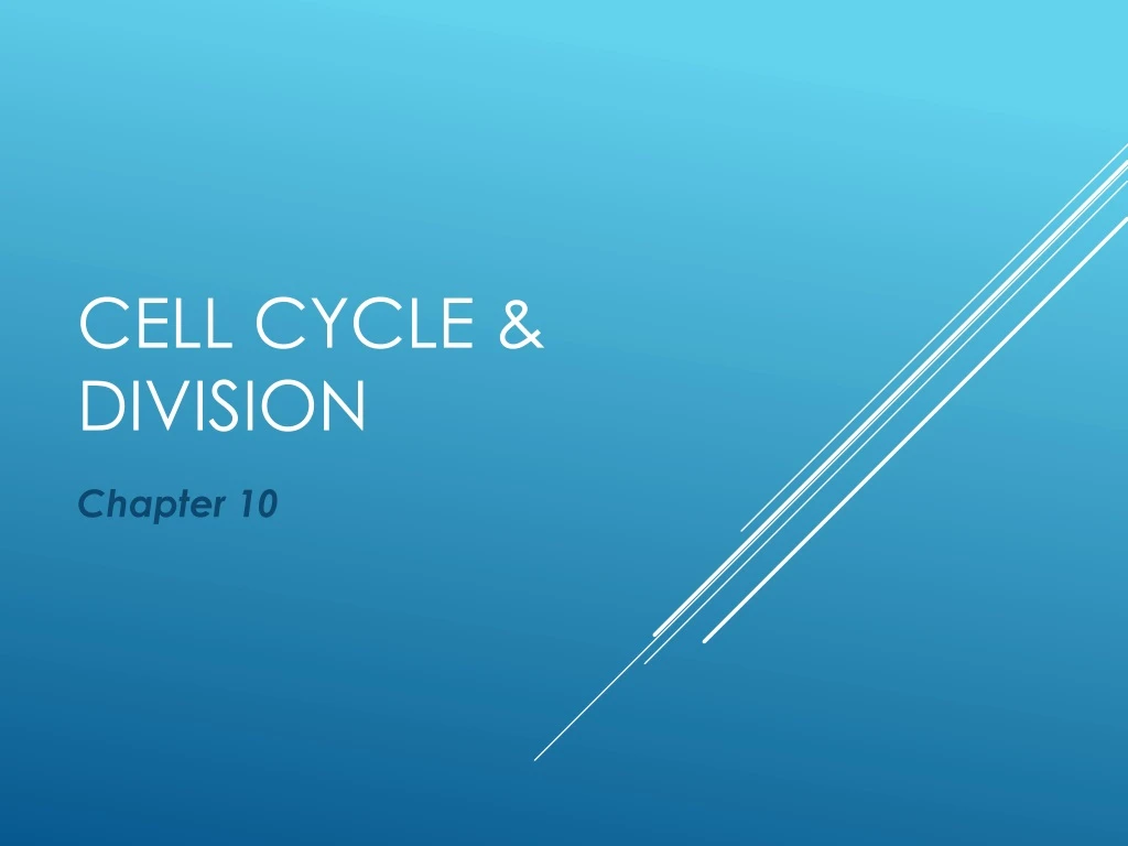 PPT - Cell cycle & Division PowerPoint Presentation, free download - ID ...