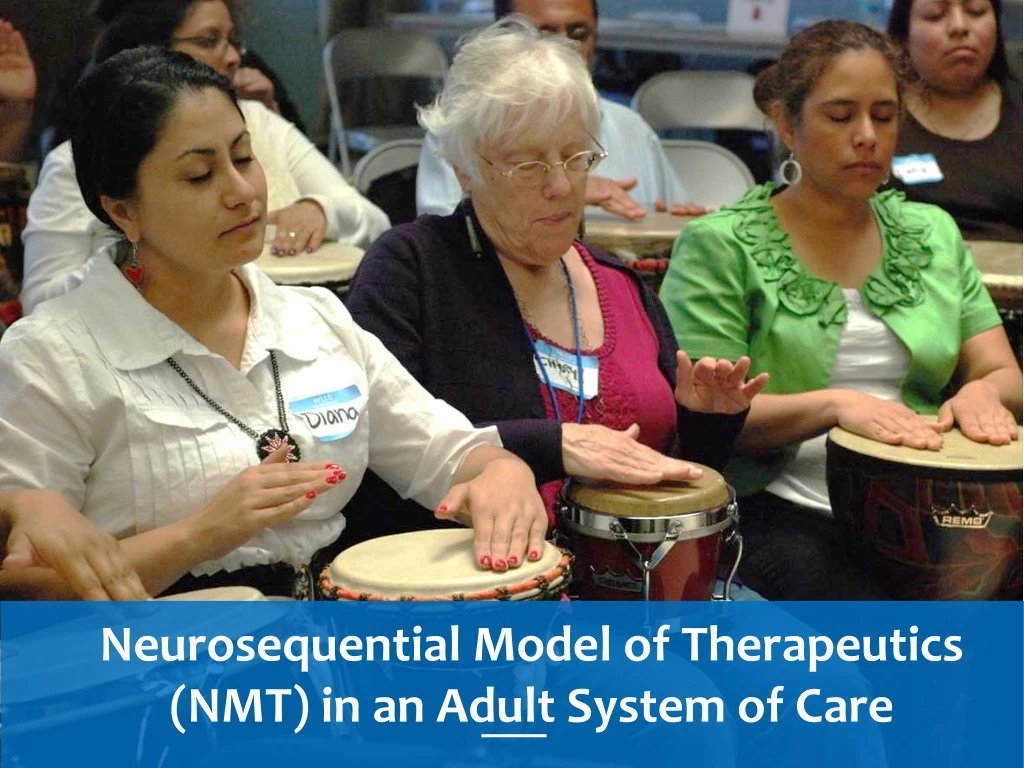 PPT - Neurosequential Model of Therapeutics (NMT) in an Adult System of ...