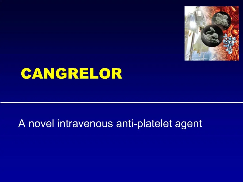 PPT - CANGRELOR PowerPoint Presentation, free download - ID:876849