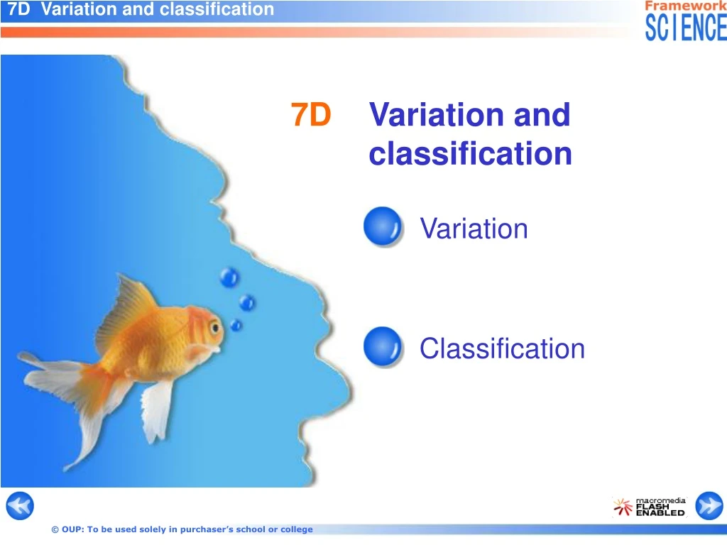 PPT - Variation and classification PowerPoint Presentation, free download - ID:8772277