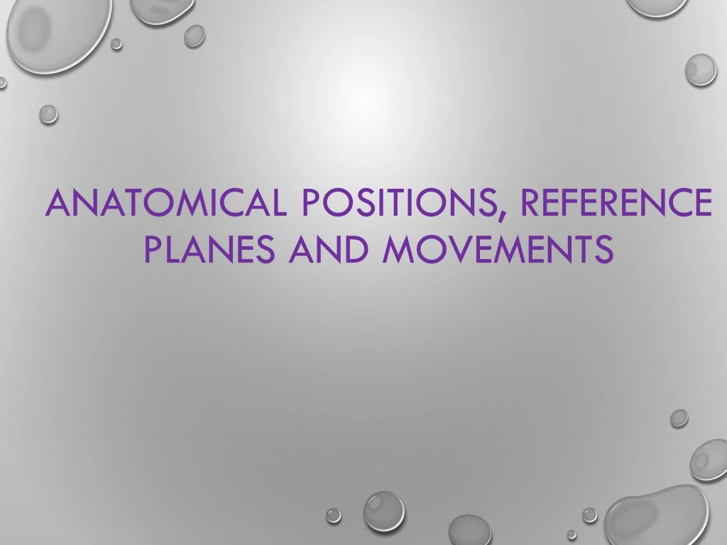 PPT - Anatomical Positions, Reference Planes and Movements PowerPoint ...