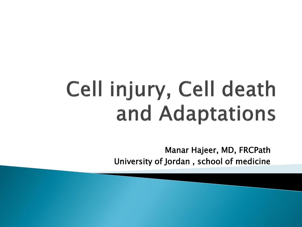 PPT - Cell injury, Cell death and Adaptations PowerPoint Presentation ...