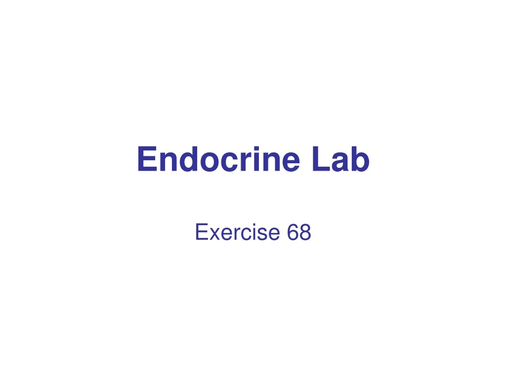 PPT - Endocrine Lab PowerPoint Presentation, free download - ID:8777304